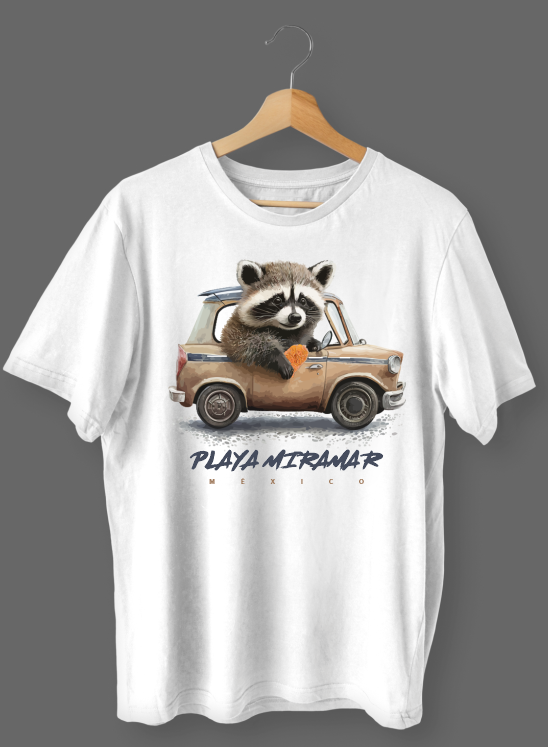 mapache ruta tampico playa – Playerama